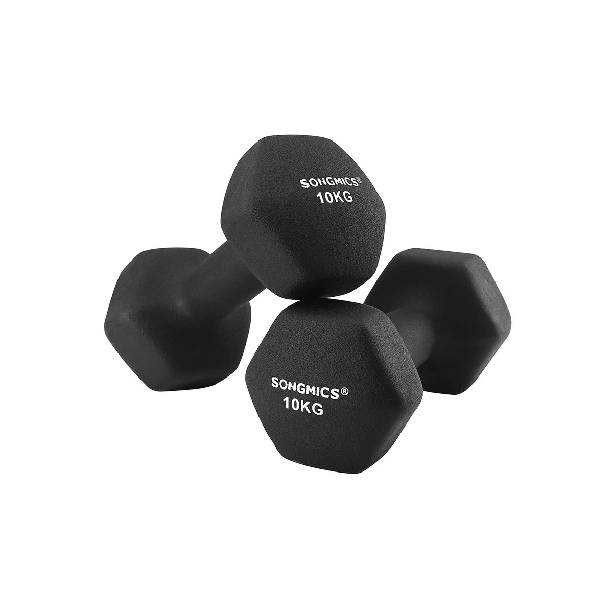 SONGMICS Set di 2 Manubri | SONGMICS HOME